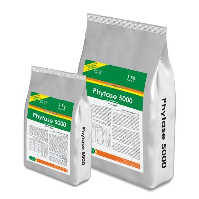 Phytase 5000 - enzyme 1G Powder - Rooyan Darou