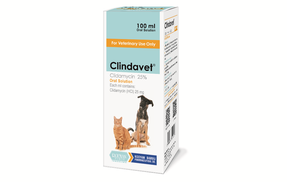 کلینداوت ® | ®Clindavet - رویان دارو - آنتی بیوتیک
